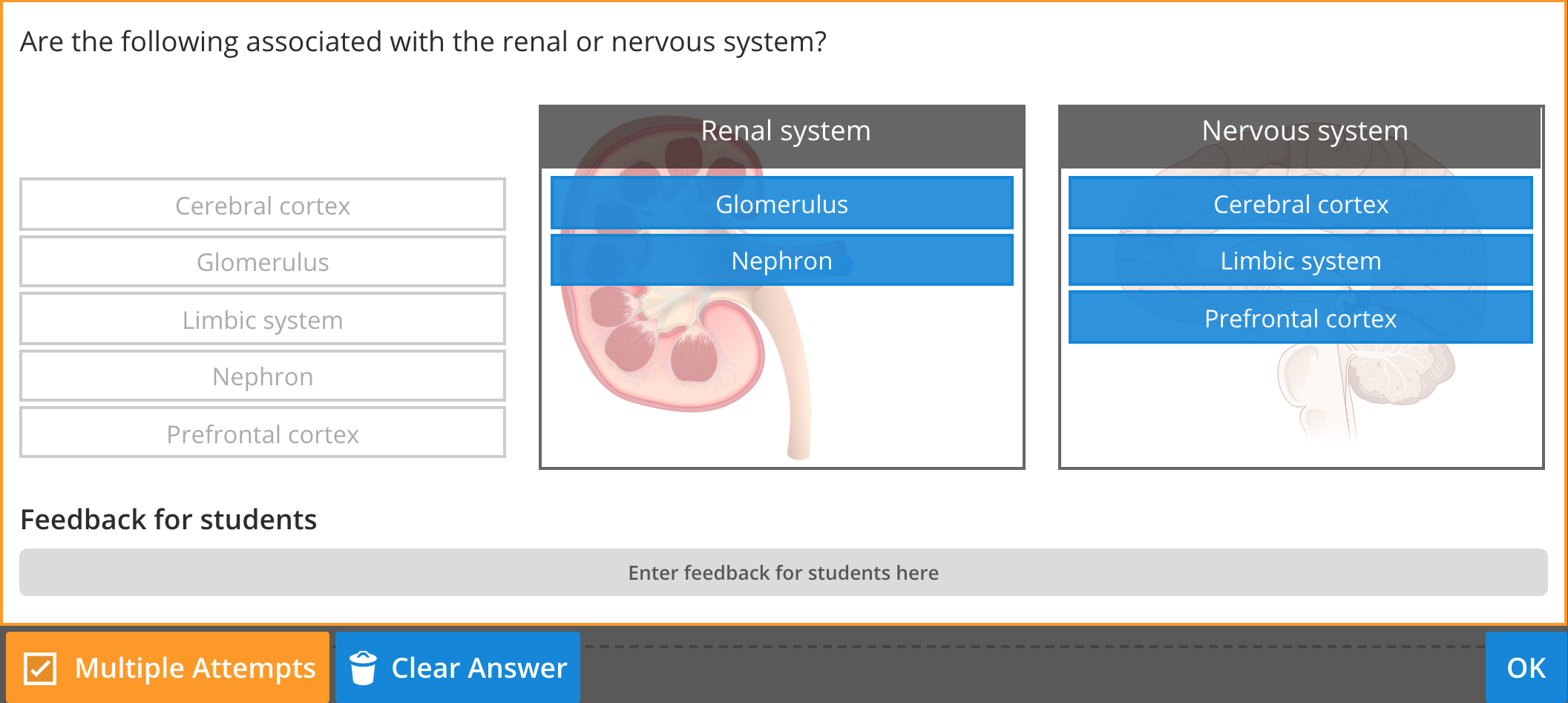 Creating Lt Categories Panels | ADInstruments